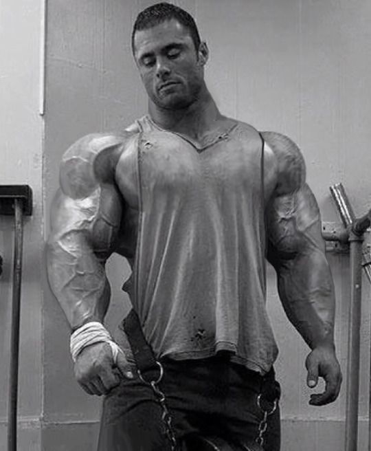 Ask an IFBB Pro anything!